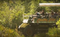 Stompin’ Gator Off-Road Adventure – Gatorland